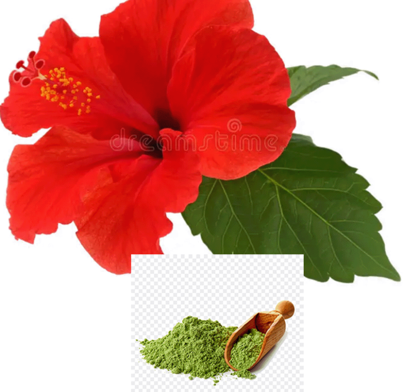 Hibiscus Leaf Powder - Srisumedha